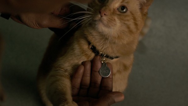 Goose • Marvel Cinematic Universe Wiki